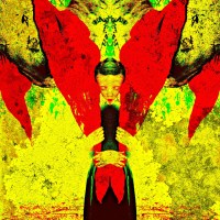 The Four Pillars for categorizing Photography – Curtis Salonick